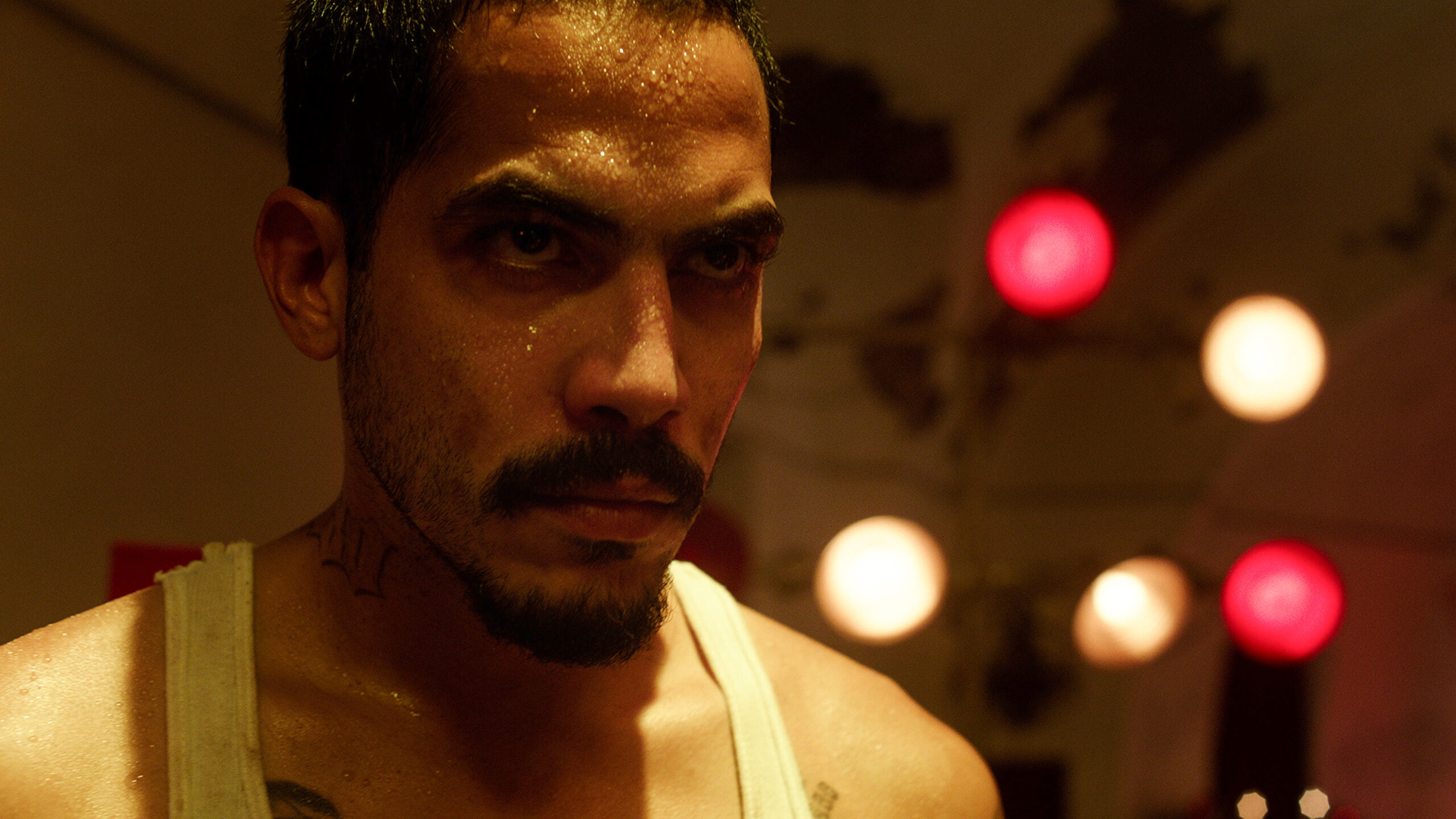 KINOA.TV — El chata